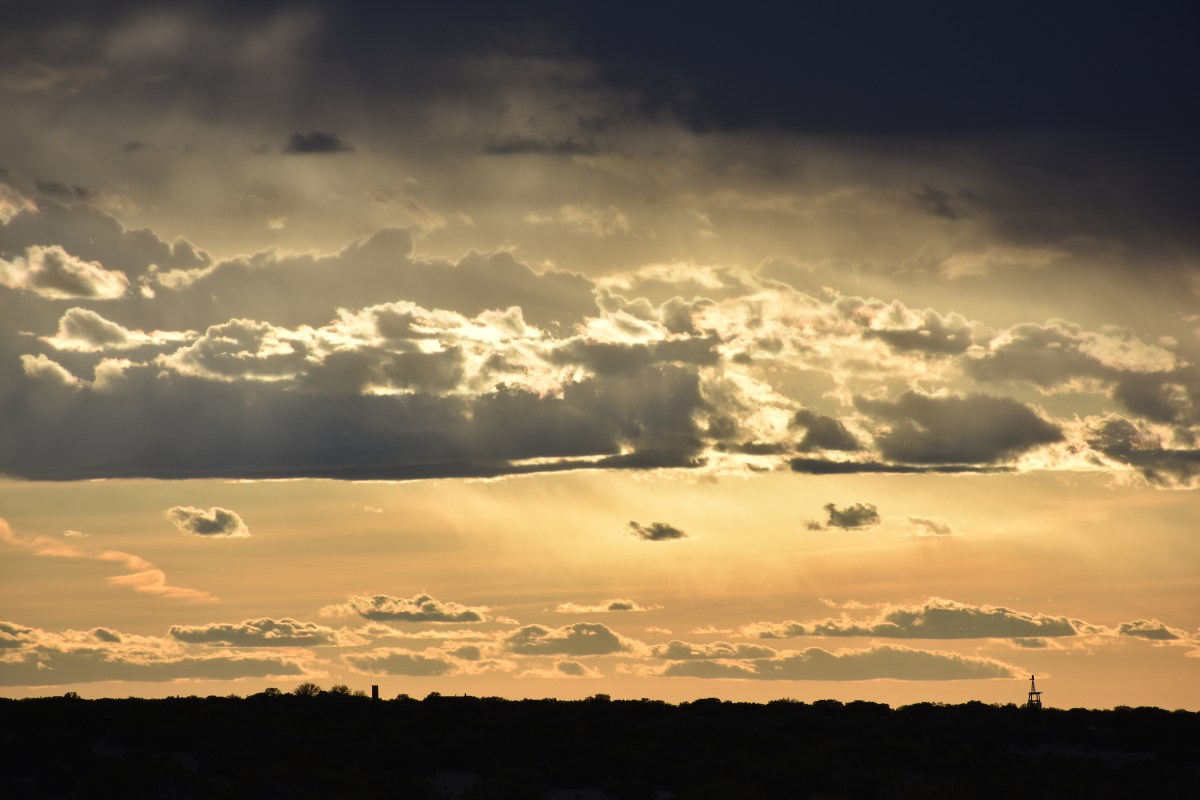 Passing Through by Ava Bird – Wanderlust