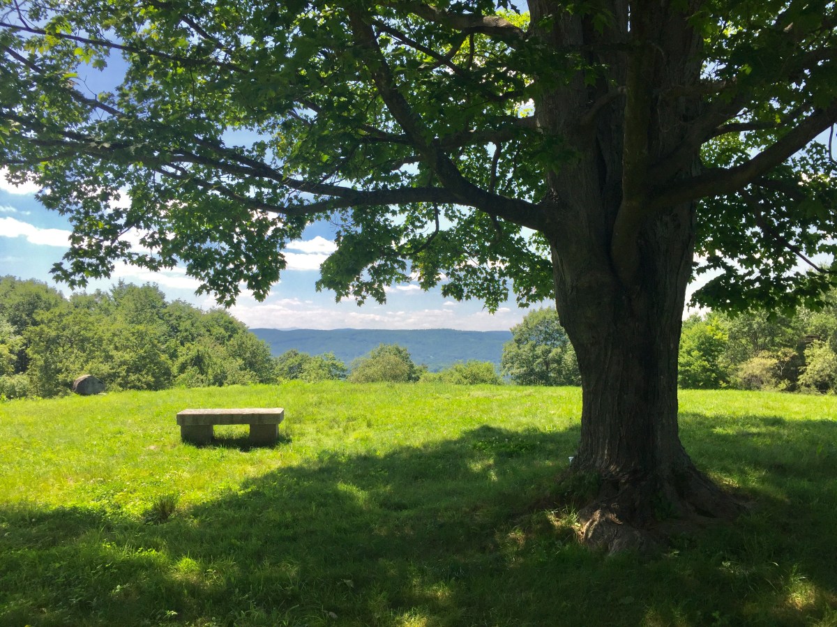 Balch Hill by Greg Hill – Wanderlust